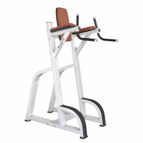 M-6017 Vertical Knee Raise - Buy Online Best Fitness & Gym Equipment ...